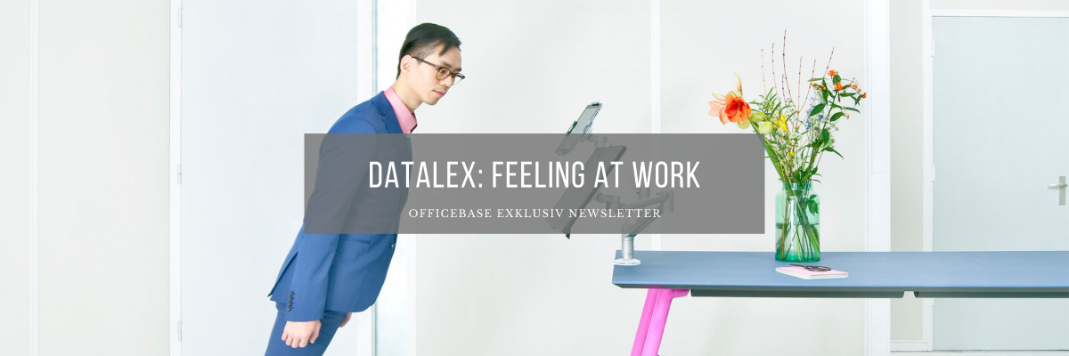 DATAFLEX: „Feeling at work“ | officebase ⭐