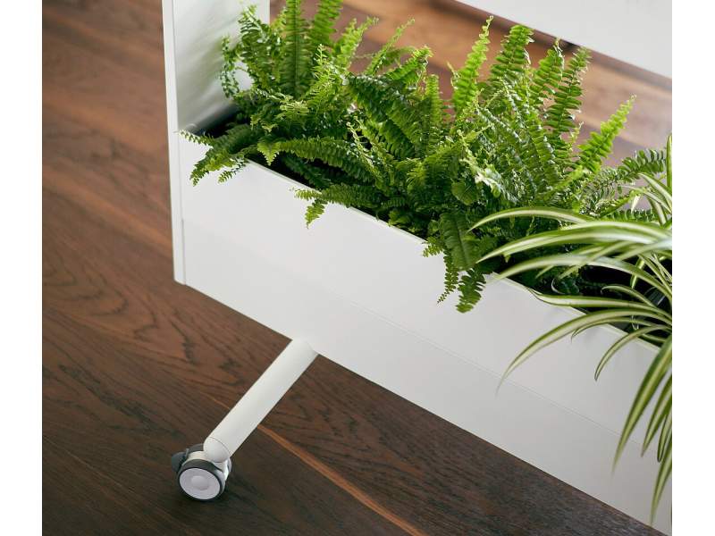 Sedus se:lab mobile planter | Rollregale online | officebase.ch